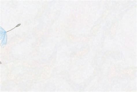 医学专业知识：肾的解剖结构考点总结