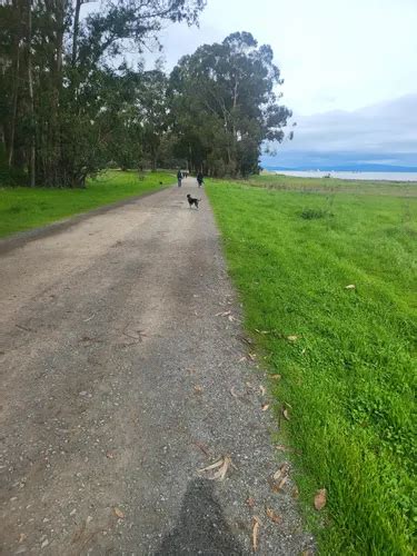 Best Views Trails In Point Pinole Regional Park Alltrails