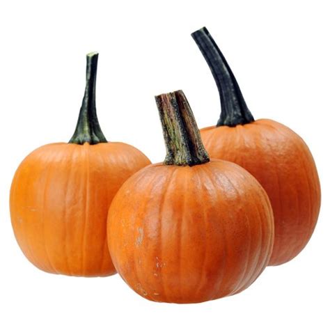 Pumpkin Wee Bee Foodland