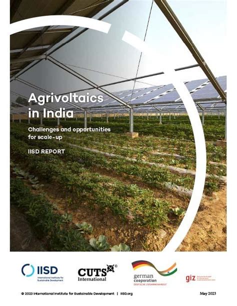 Agrivoltaics In India International Institute For Sustainable Development