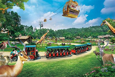 광저우 치메롱 사파리 파크 티켓 예약하기 중국 최대 규모의 세계적 수준 사파리 공원 Funbooky