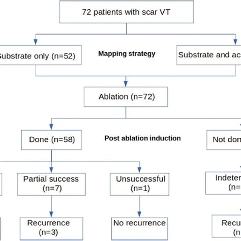 Ablation Procedure And Outcomes Flow Chart Showing The Procedural Download Scientific Diagram