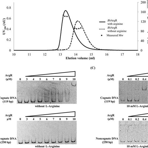 Sini Sinr Interaction A Structure Of Sinr In Complex With Sini Shown Download Scientific