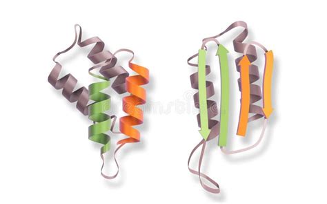 Structure Mutation Stock Illustrations 10222 Structure Mutation
