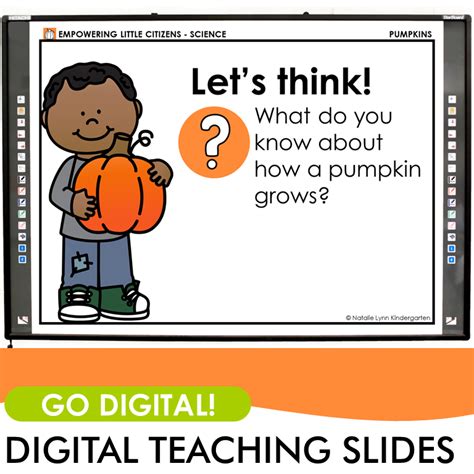 Pumpkins Unit All About Pumpkins Labeling Pumpkin Life Cycle