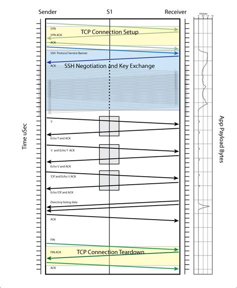 Openargus Argus Detections