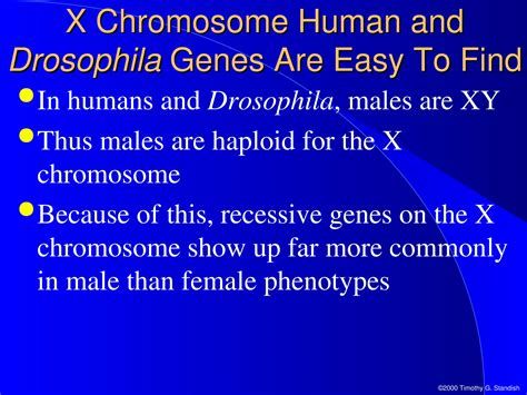 Powerpoint Sex Determinationnnnnnnnnppt