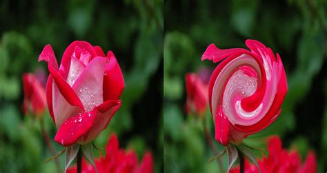 how to use liquify photoshop filter tool ultimate guide graphics cycle