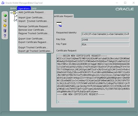 Configurando Certificados Con Oracle Wallet Manager Rinnovo