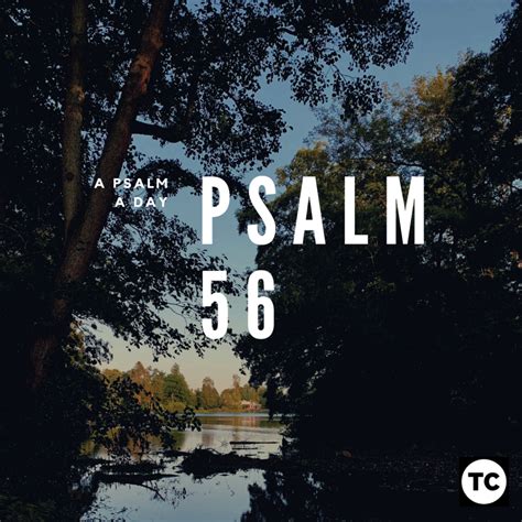 A Psalm A Day Psalm 56 Thomas Creedys Blog