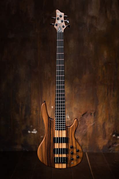 Wolf 5 String Bass Walnut Reverb