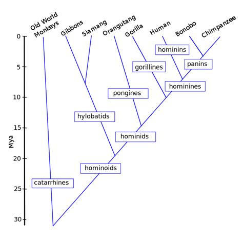 Cheat Sheet Its A Natural Universe