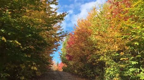 Katahdin Loop Road Fall Color Youtube Fall Colors Travel Usa