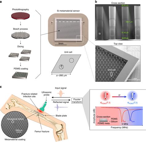 An In Vitro Demonstration Of A Passive Acoustic Metamaterial As A