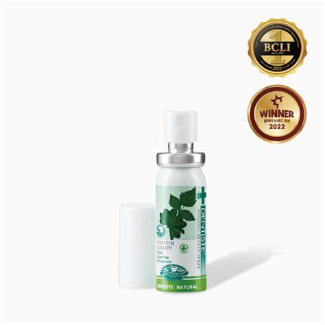 덴티스테 덴티스테 후레쉬 브레스스프레이 15ml 위시버킷