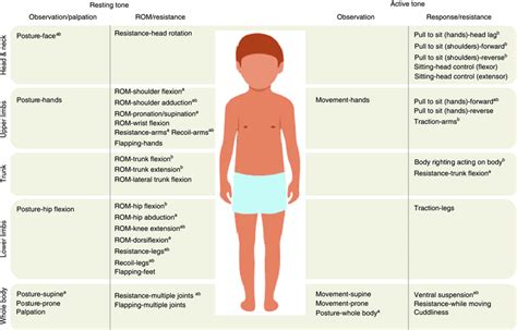 Abnormal Muscle Tone Scale