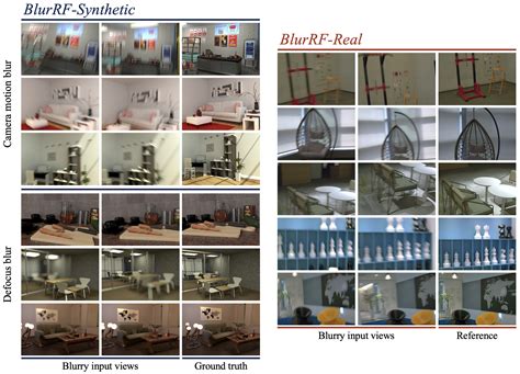 Exploiting Deblurring Networks For Radiance Fields