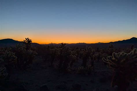The Best Sunrise Spot In Joshua Tree National Park