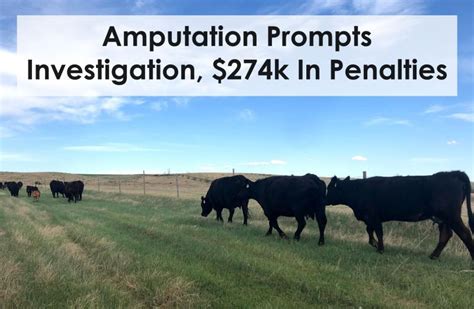 Ankit Bhandari On Linkedin Forkliftsafety Naspsafety Safetyprofessional Safetyprofessionals