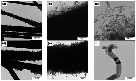 Precise Characterization Of Cnf Coated Microfibers Using Transmission