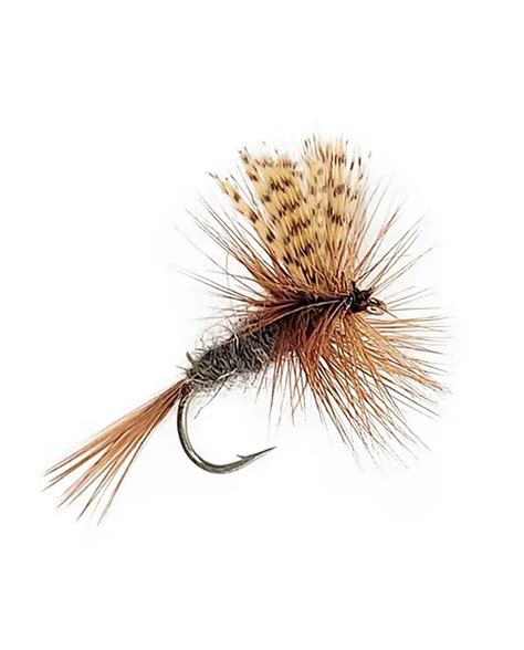 Fly Dry Dark Cahill 12 18