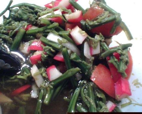 Salad Warabi