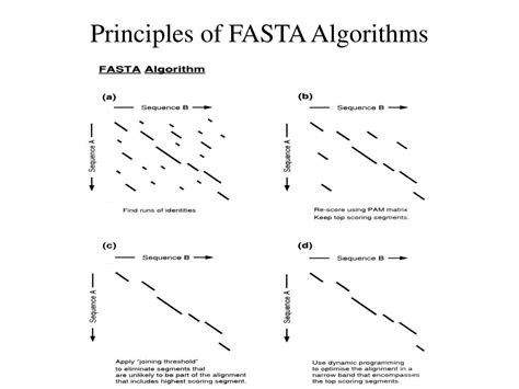 Ppt Techniques For Protein Sequence Alignment And Database Searching