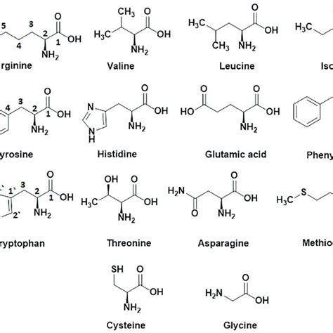 Chemical Structures Of Other Nitrogenous Compounds Isolated From The