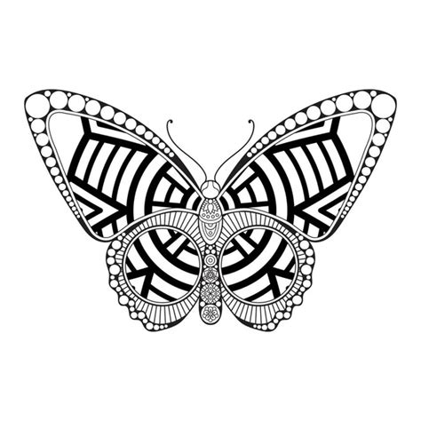 Moth Wings Vector Art Stock Images Depositphotos