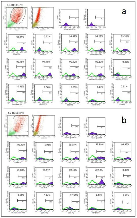 Flow Cytometry Analyses Of The Bcscs Of Case 1 A And Case 2 B