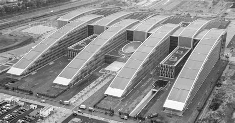 Diana Voinea Posted On Linkedin