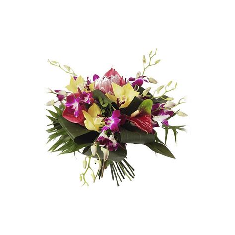 Fleurs Exotiques Achat De Bouquets De Fleurs Et Plantes Exotiques En Ligne