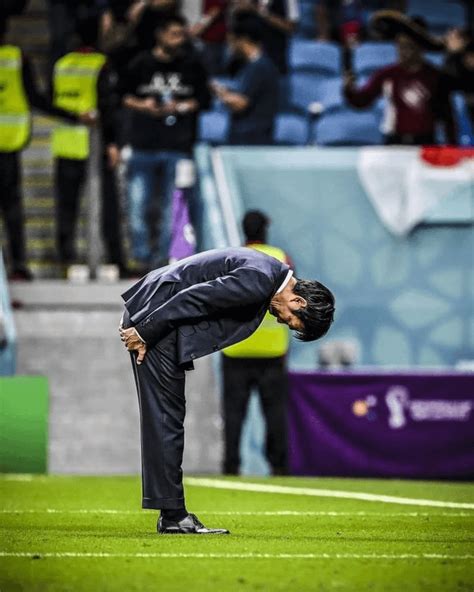 3m Flatty Dog Rstraya