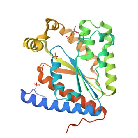Rcsb Pdb 9h8l Crystal Structure Of Polyphosphate Kinase 2 Ii Ppk2