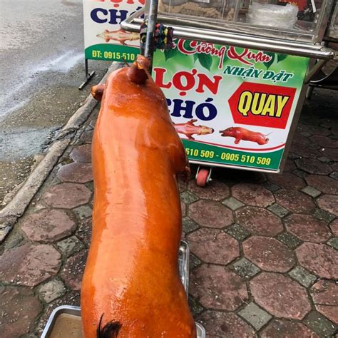 Tú Cường Quán Cường