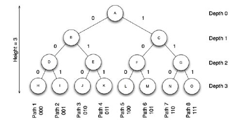 The Possible Paths For A Binary Search Tree Of Depth 3 Download