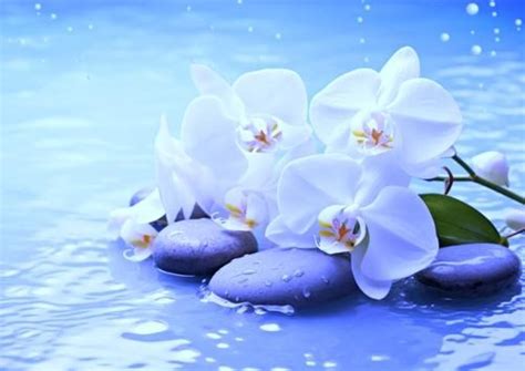 Mike Doolan Obituary 2025 Mesa Az Knxv