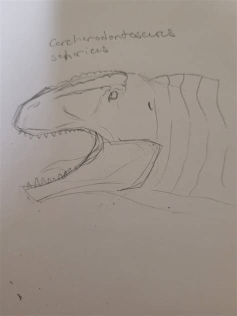 Carcharodontosaurus Sketch By Riverraptor12 On Deviantart