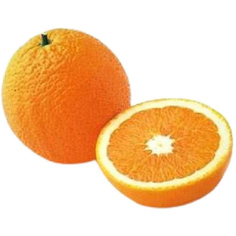 Shamouti Orange Tree Jaffa Sweet Orange