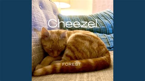 Cheezel Youtube Music
