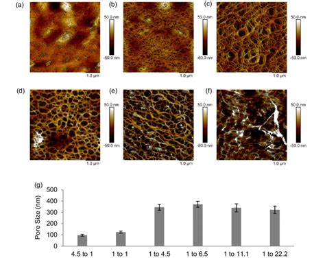 Varying Pore Size Based On Xanthan Gum And Neodol Ratios 5 μm × 5 μm Download Scientific