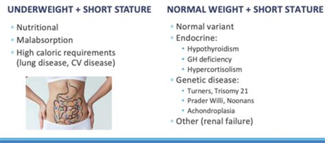 Growth Disorders Lead Poisoning Pediatrics Exam 2 Clin Med Iii