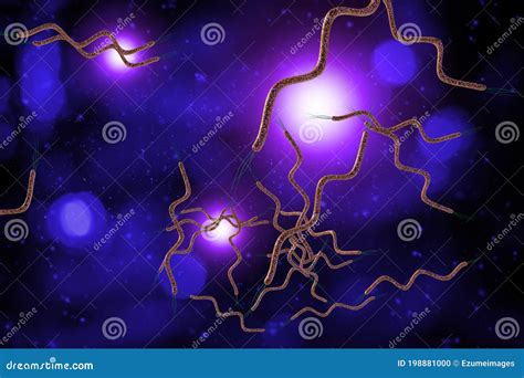 Amphitrichous Bacteria Structure Cartoon Vector 321212603