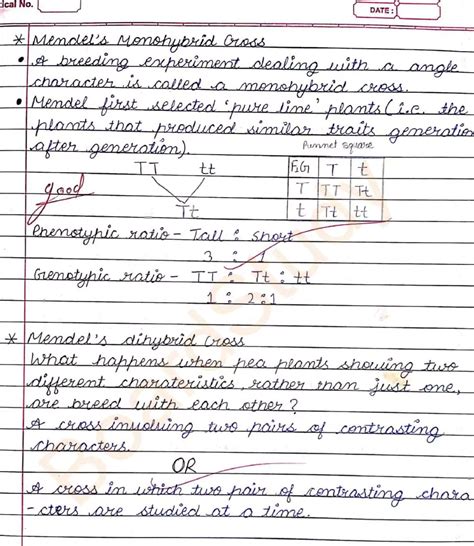 Class 10 Science Chapter 9 Heredity And Evolution Handwritten Notes