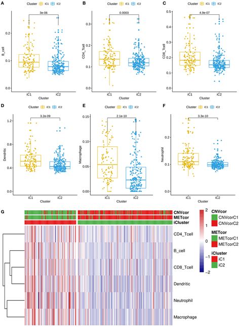 Differences In Immune Infiltrations Between Two Multi Omics Molecular