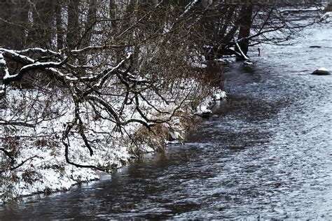 Flowing Water River Curve With Snow Covered Bank With Big Tree Branch Over Water 15047460 Stock
