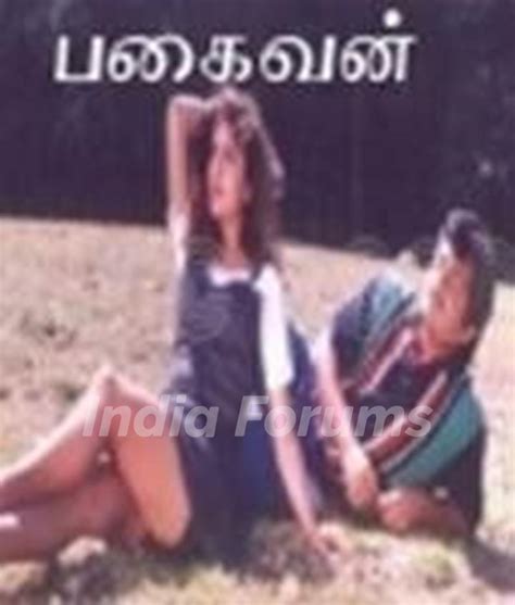 Pagaivan Photo 533034