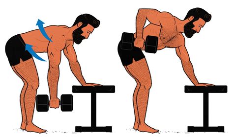 The Best Dumbbell Back Exercises And Workout