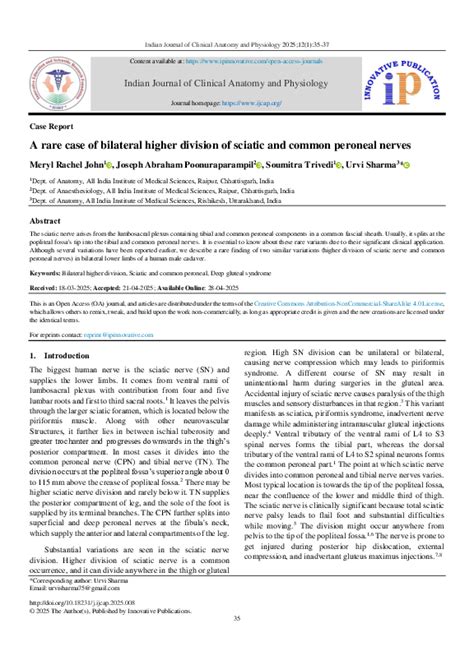 Pdf A Rare Case Of Bilateral Higher Division Of Sciatic And Common