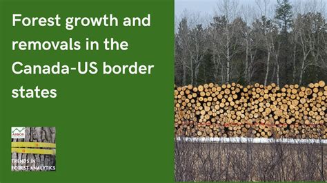 Forest Growth And Removals In The Canada Us Border States